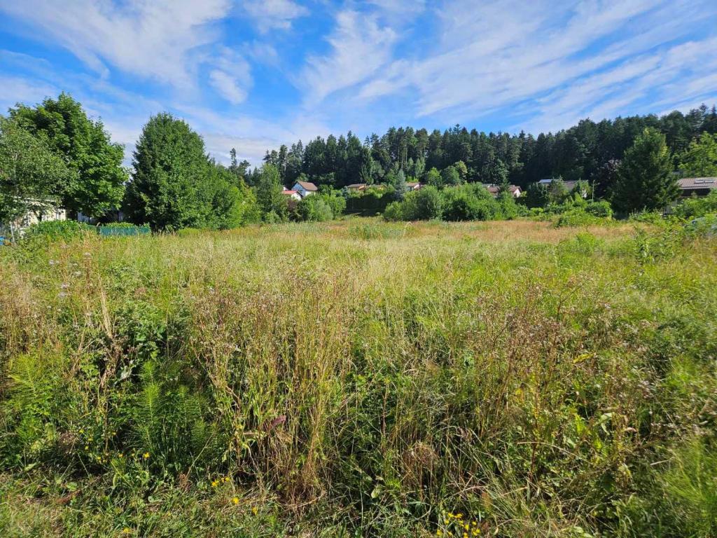 Mestna občina Velenje nadaljuje z ureditvijo območja Rakova goša ...